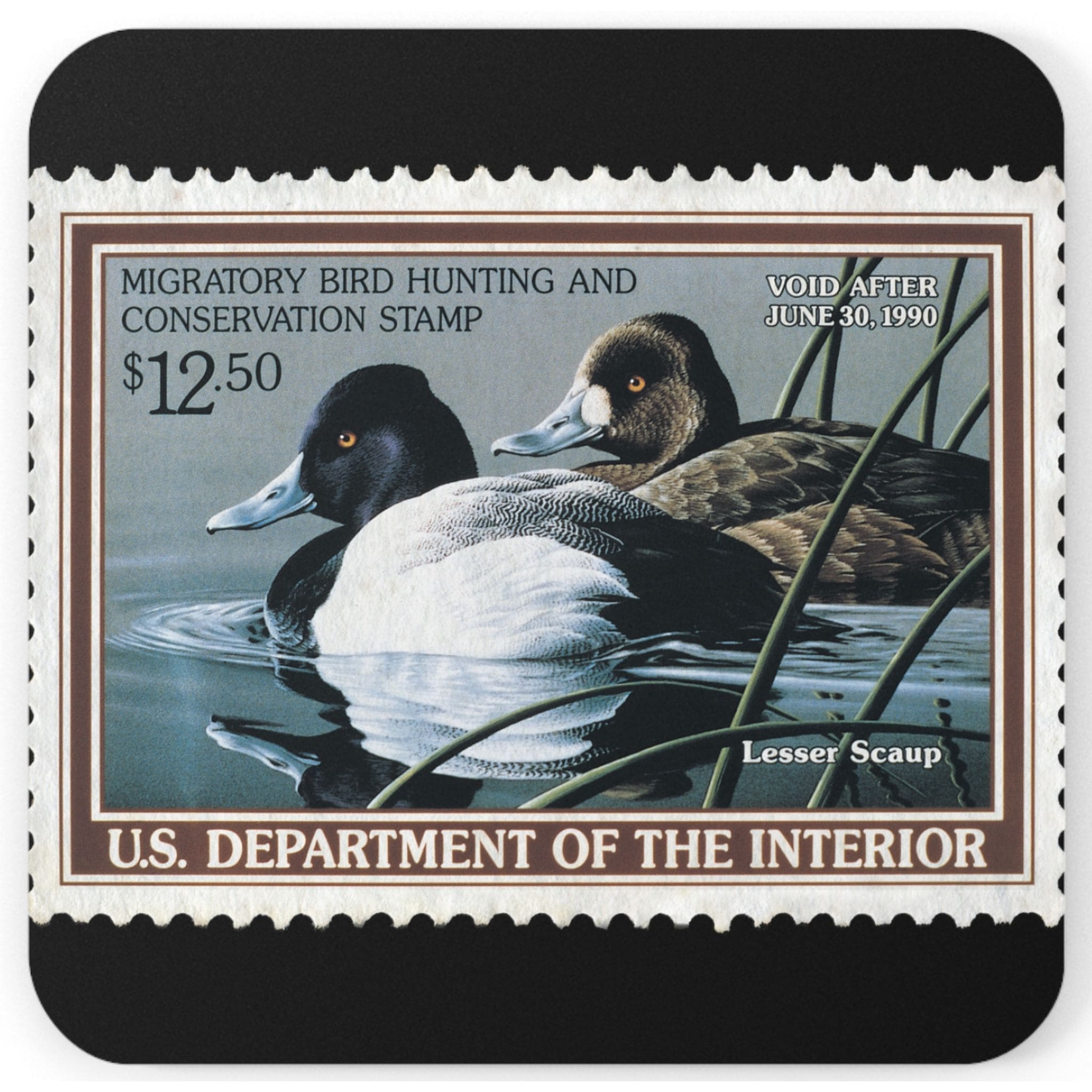 For The Ducks