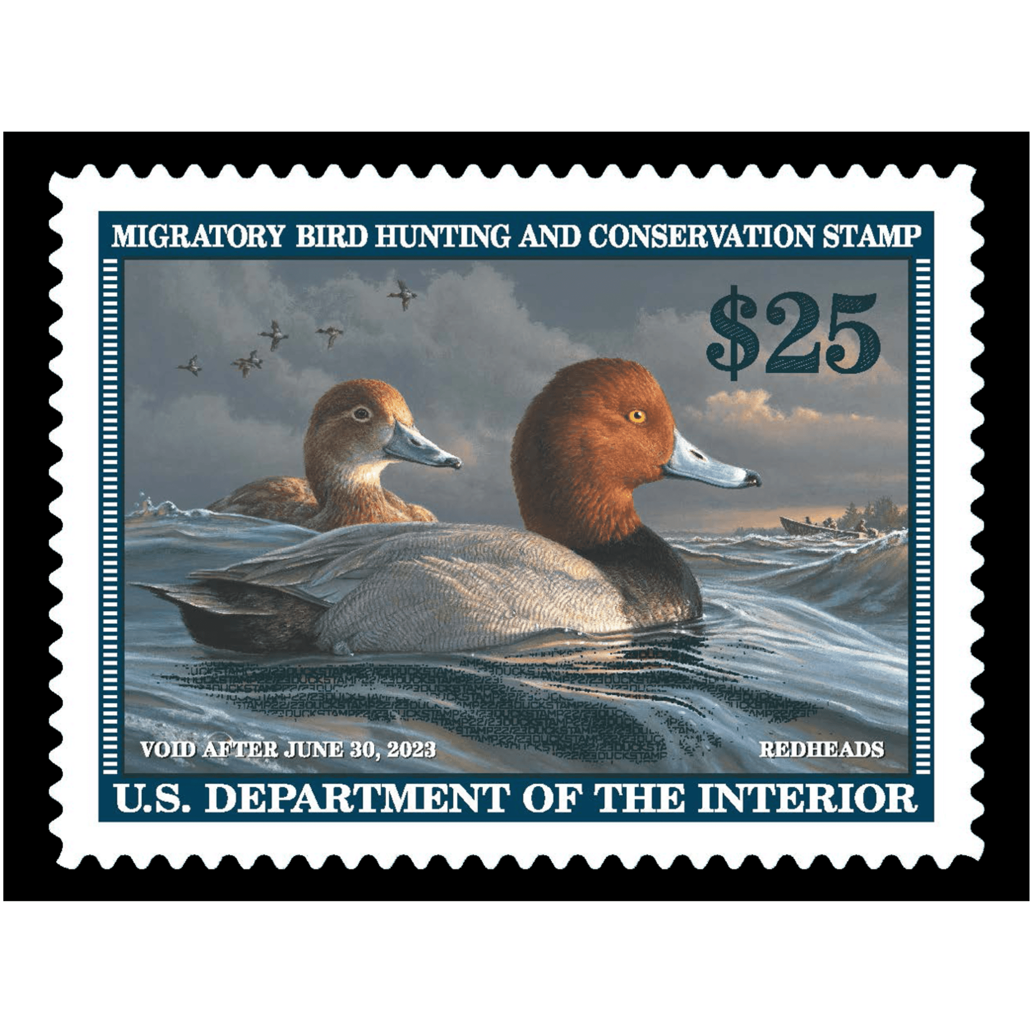 For The Ducks